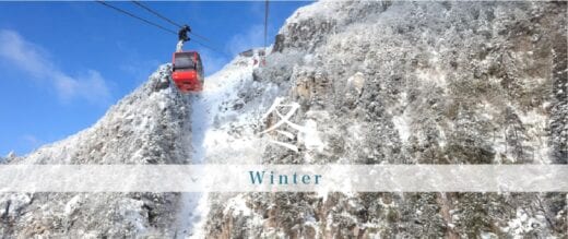 The Four Seasons of Mt. Gozaisho: Winter | Gozaisho Ropeway